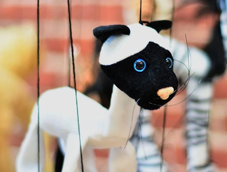 Puppet Store — Puppet Showplace Theater