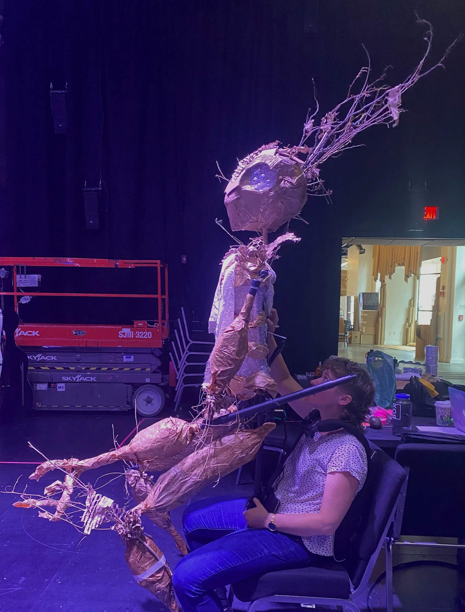 Artists make their home at Puppet Showplace...and soar to other venues ...