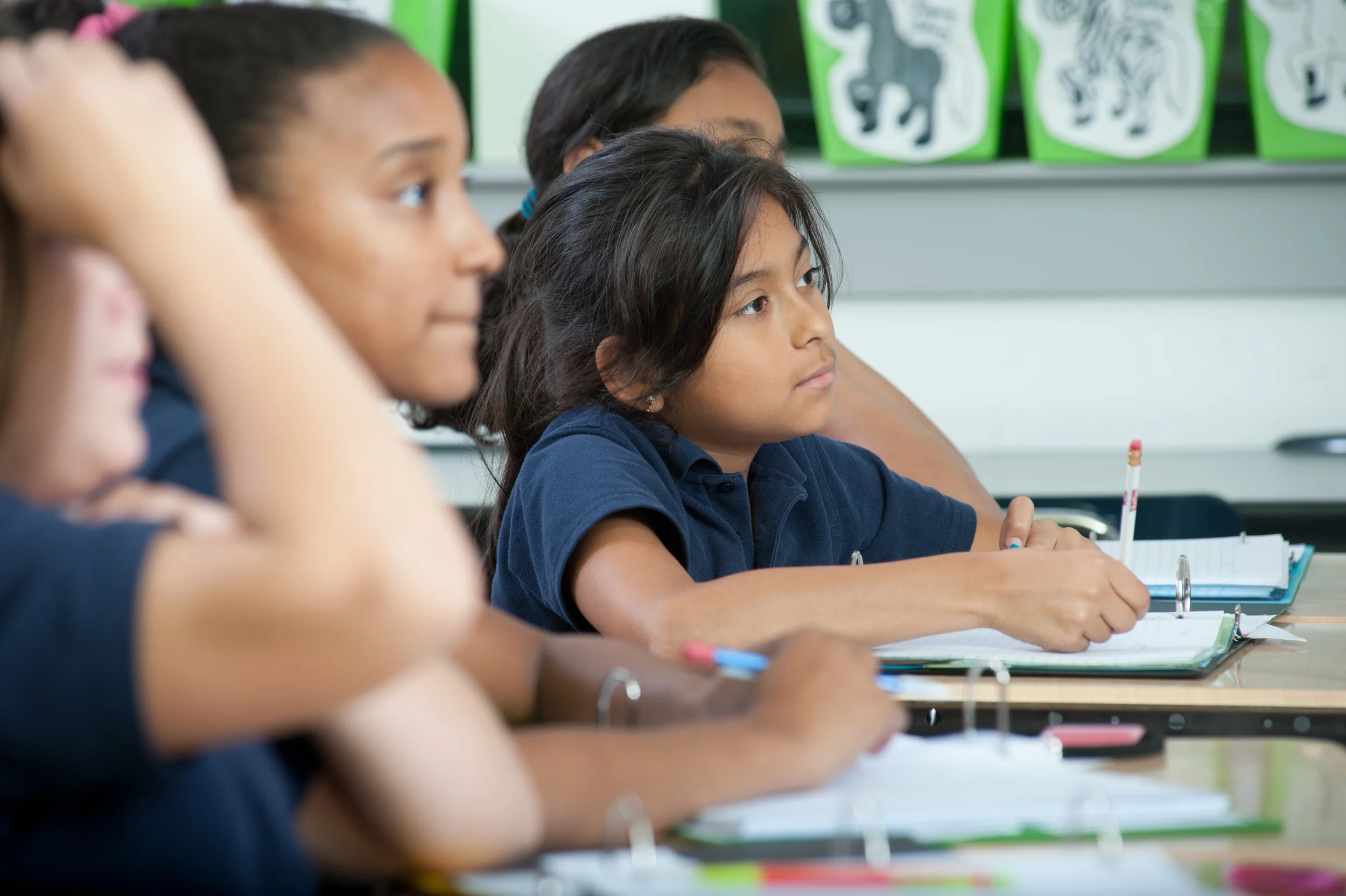 Explore partnering with ANet — Achievement Network