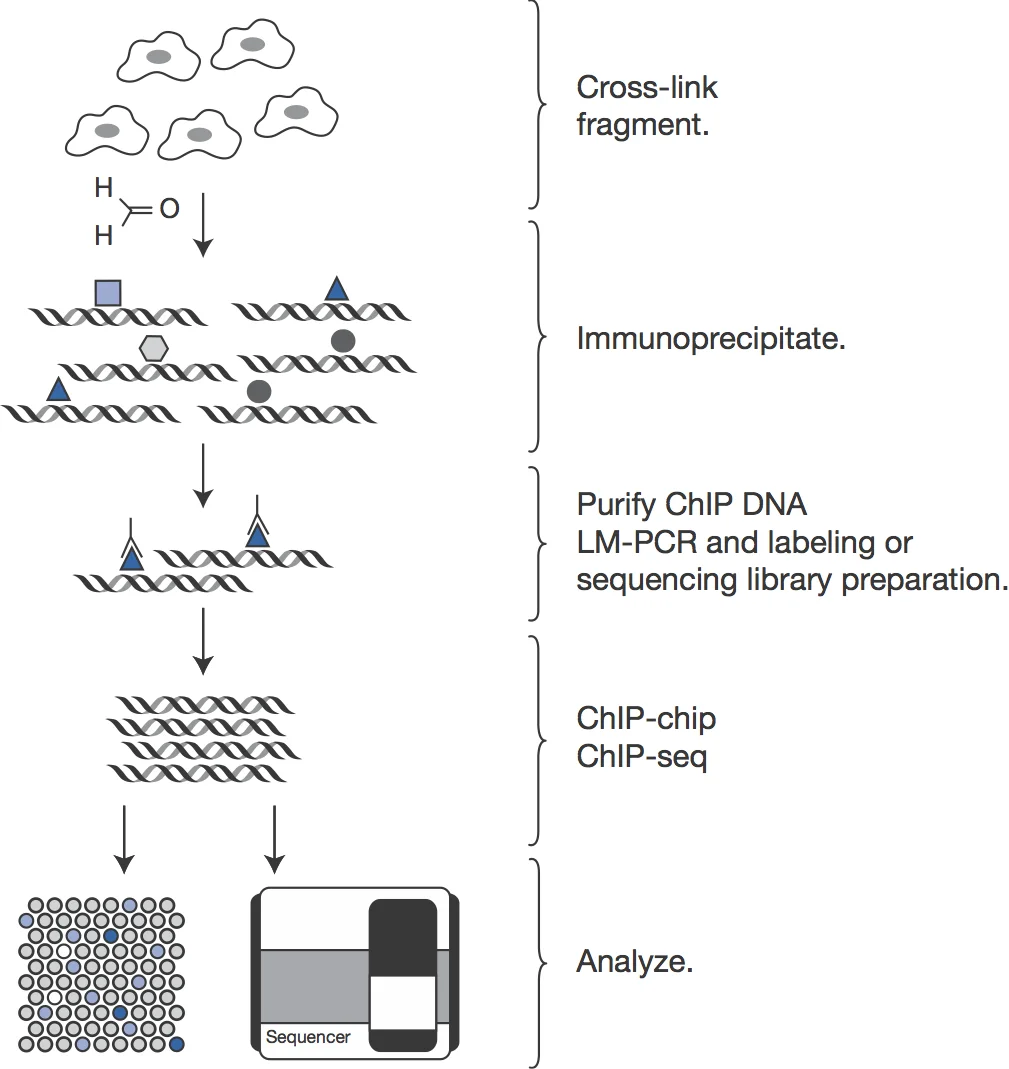 Teaching — Functional Genomics Laboratory