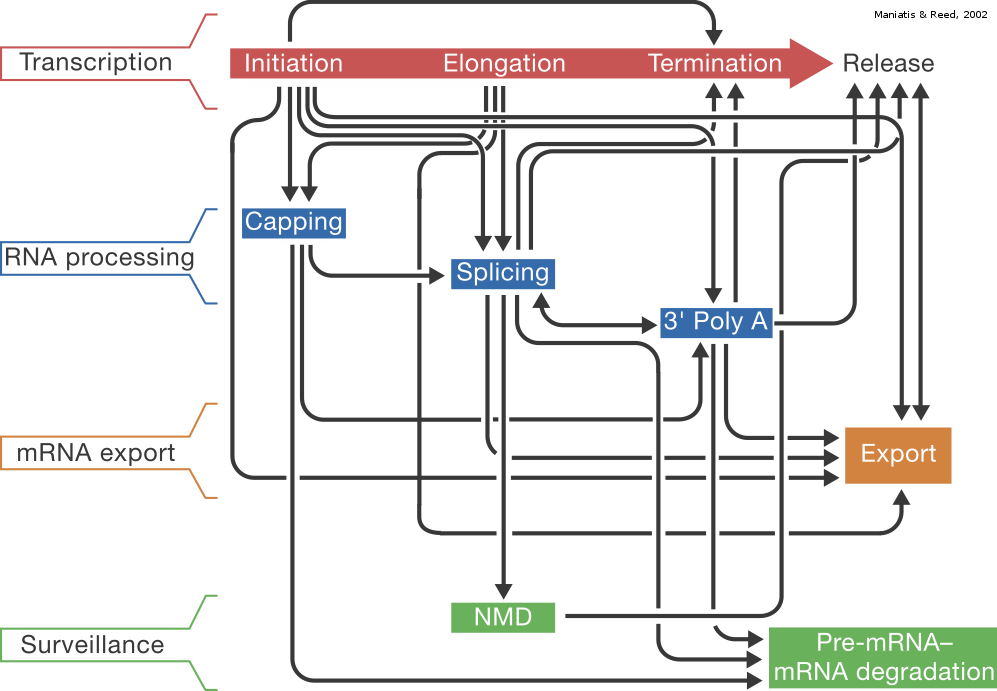 Teaching — Functional Genomics Laboratory