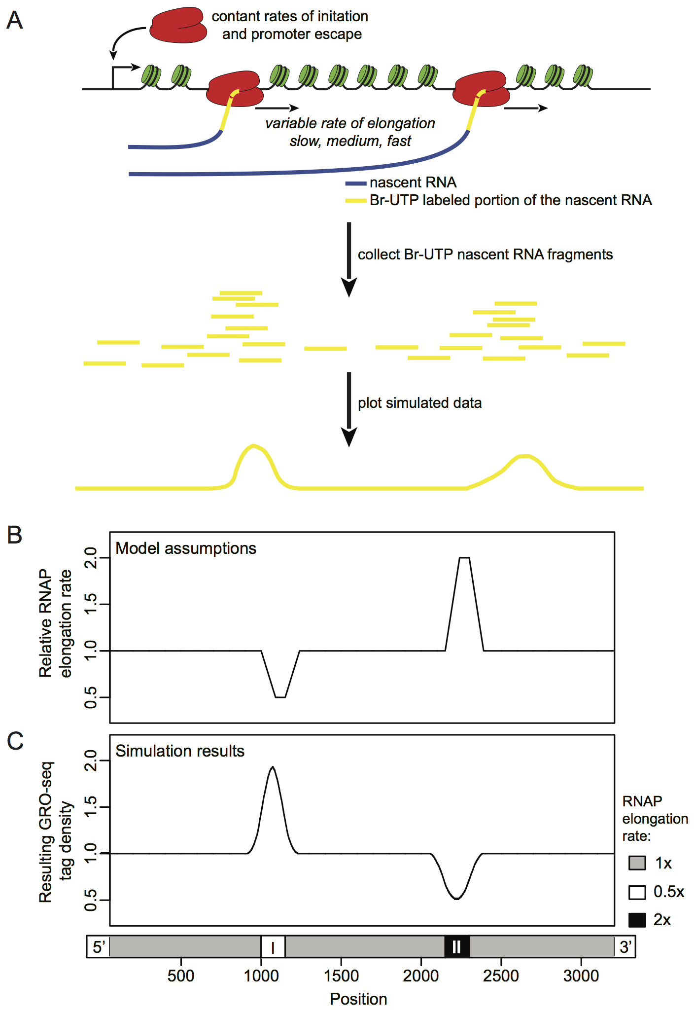 Publications — Functional Genomics Laboratory