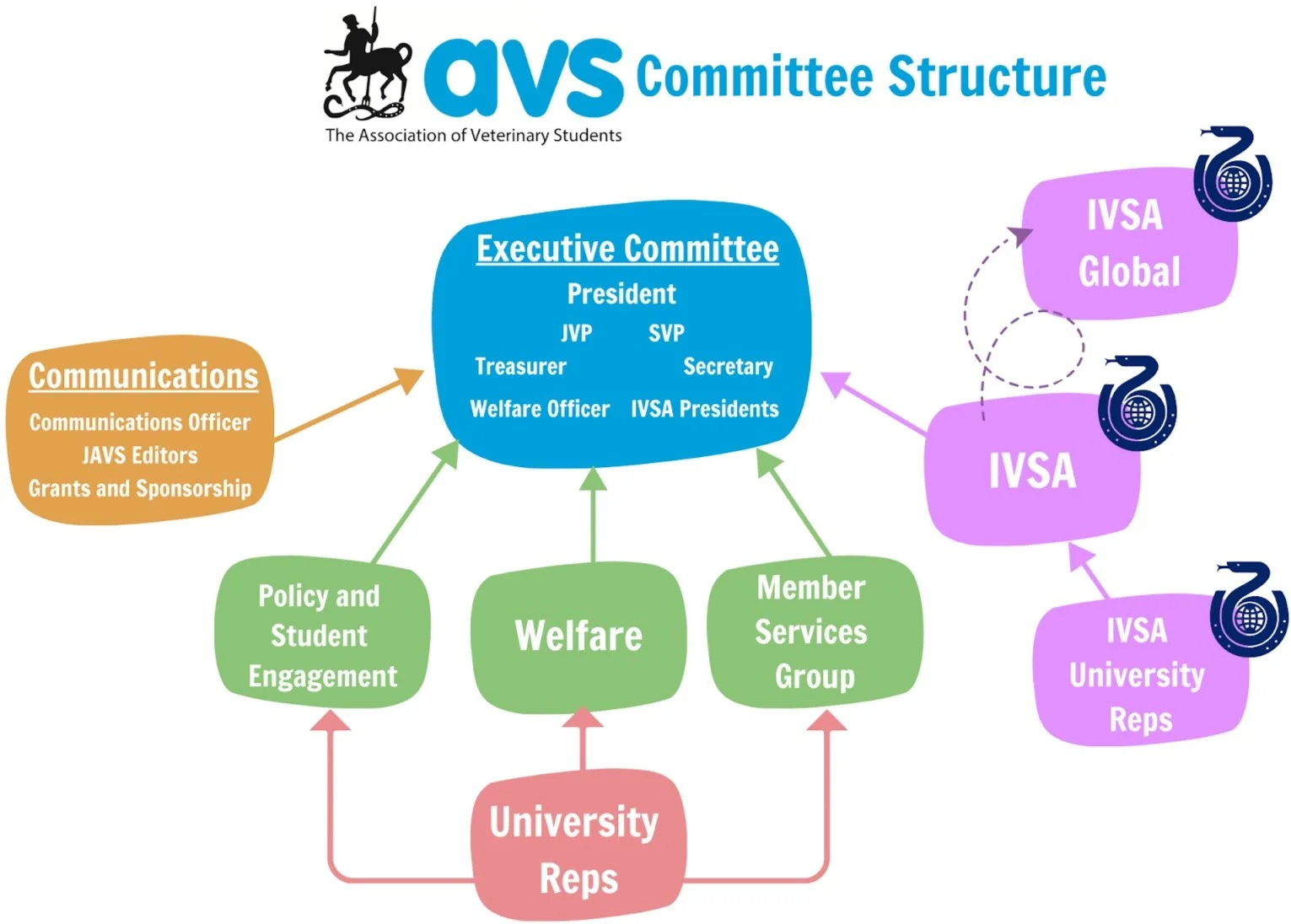 Our Team — The Association of Veterinary Students UK & Ireland