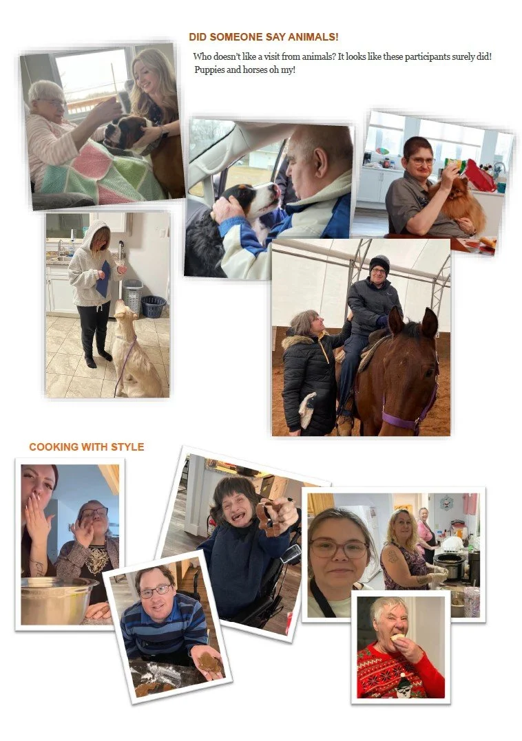 News — New Vision Care Homes Ltd