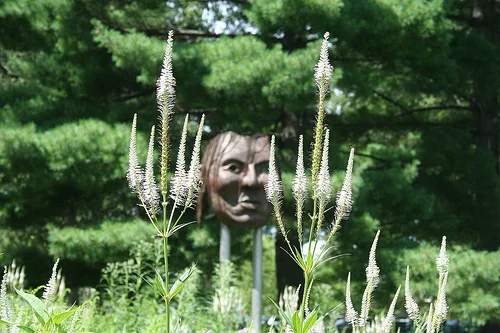 Minneapolis' Public Art and Public Parks — bikabout