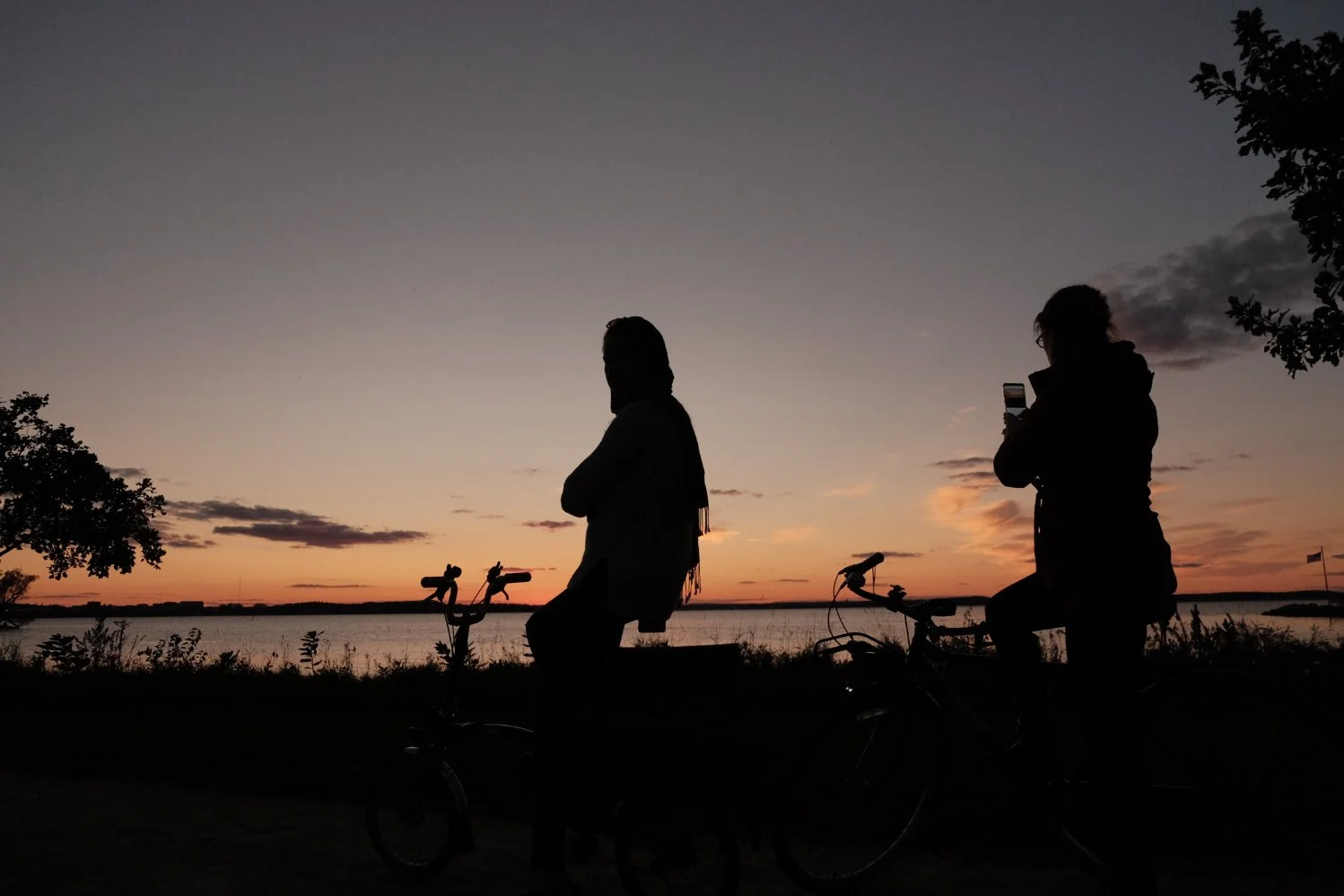 Madison by bike — bikabout