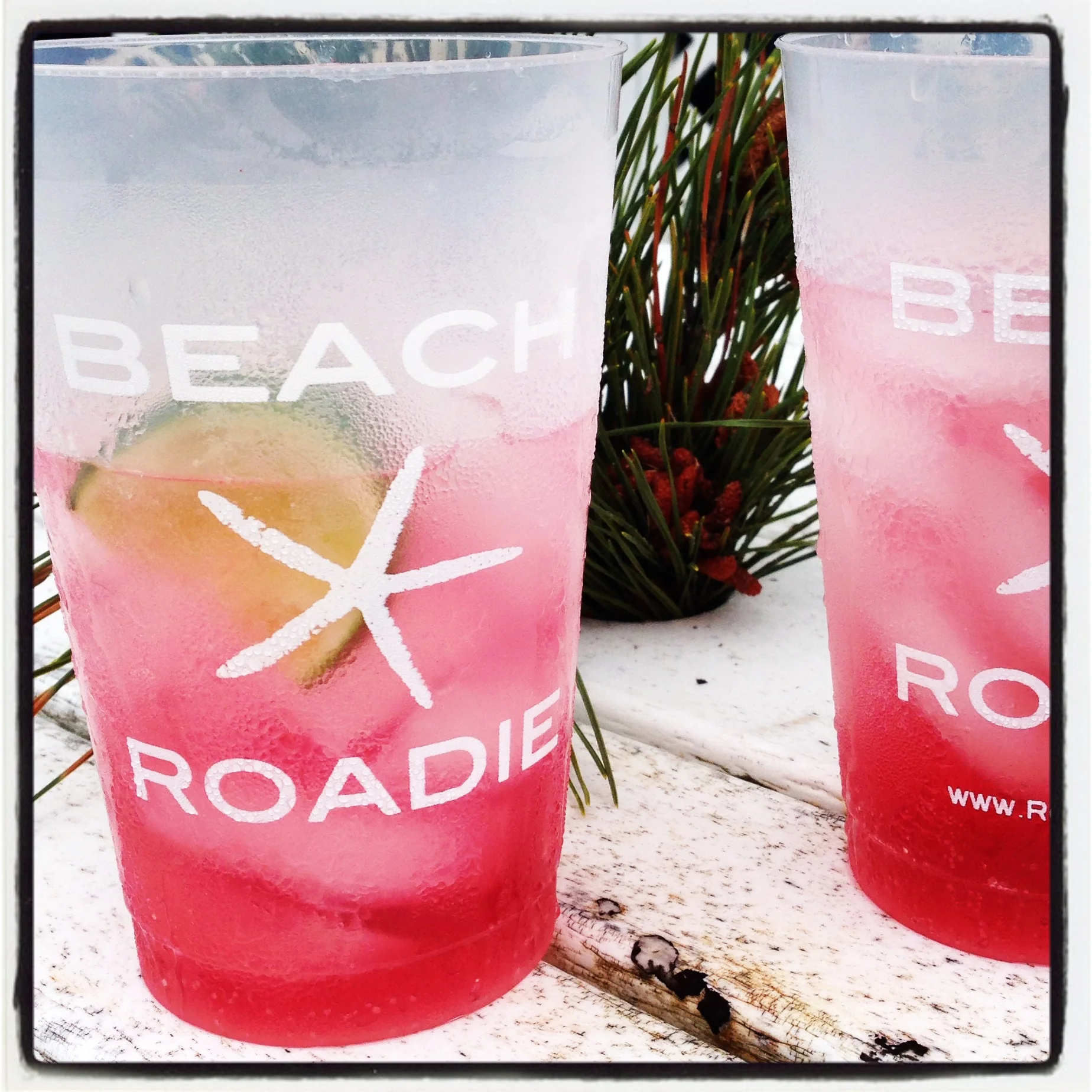 RoadieCup.com