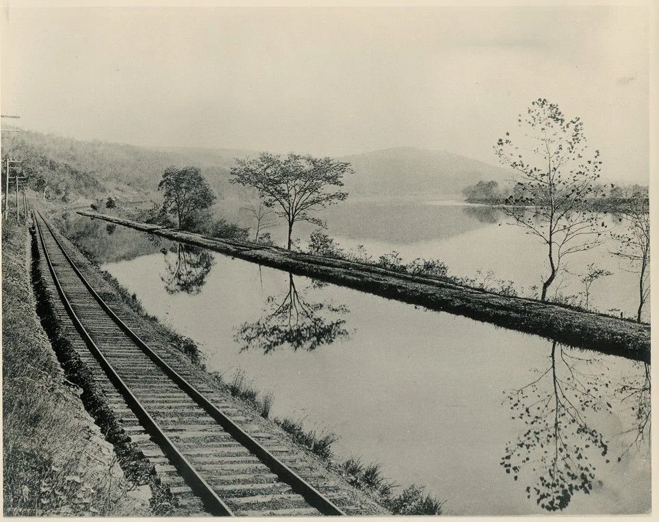 Portfolio — BSA/LA