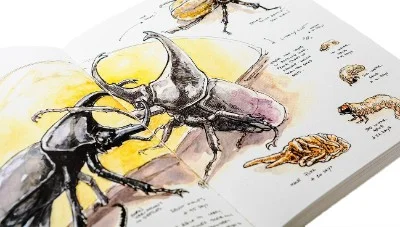 Asia Korea Printing - Award-Winning Printing Service in Korea and China