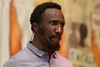 Dike Chukwumerije — THE GREEN INSTITUTE