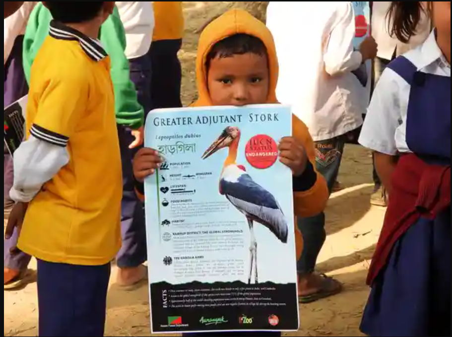 Mobilising Assam’s ‘hargila army’: how 10,000 women saved India’s rarest stork — THE GREEN INSTITUTE