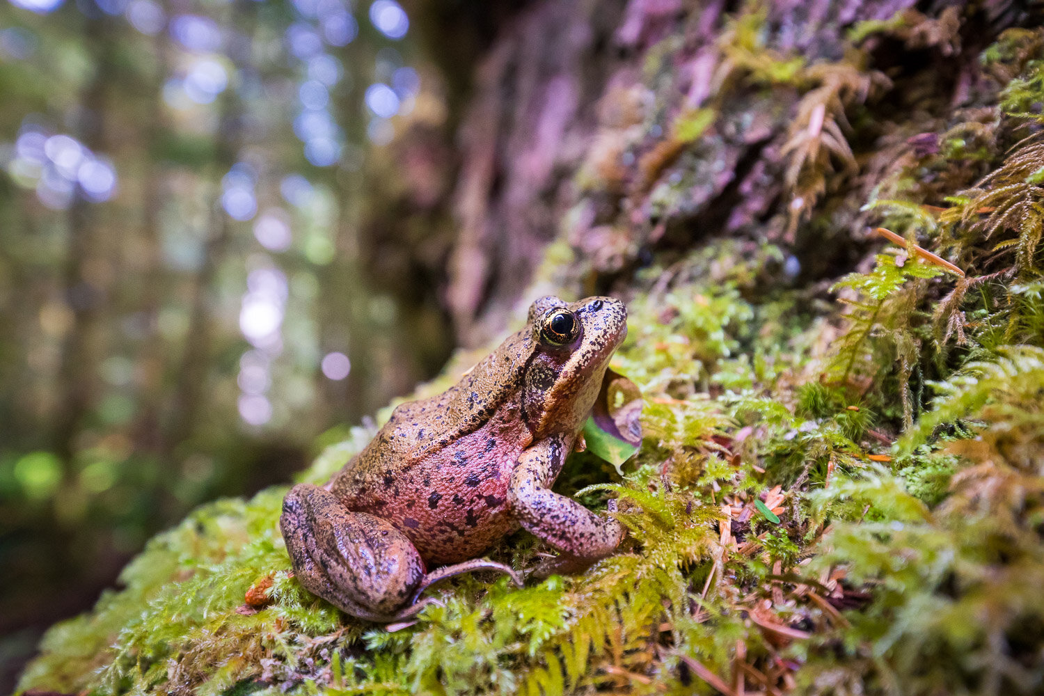 Night — Blog — TJ WATT