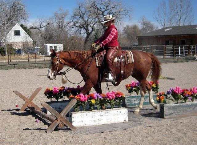 Ground Pole Patterns Clinics — Find your stride...