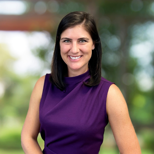 Lisa Hostetler Brown Lane Cook LawyerLisa Attorneys at Law - LawyerLisa