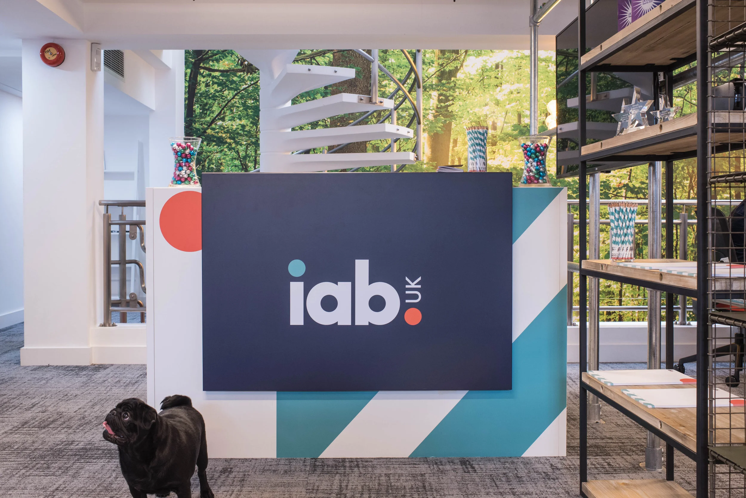 Office Reportage & Portrait Photography — Alexandria Hall