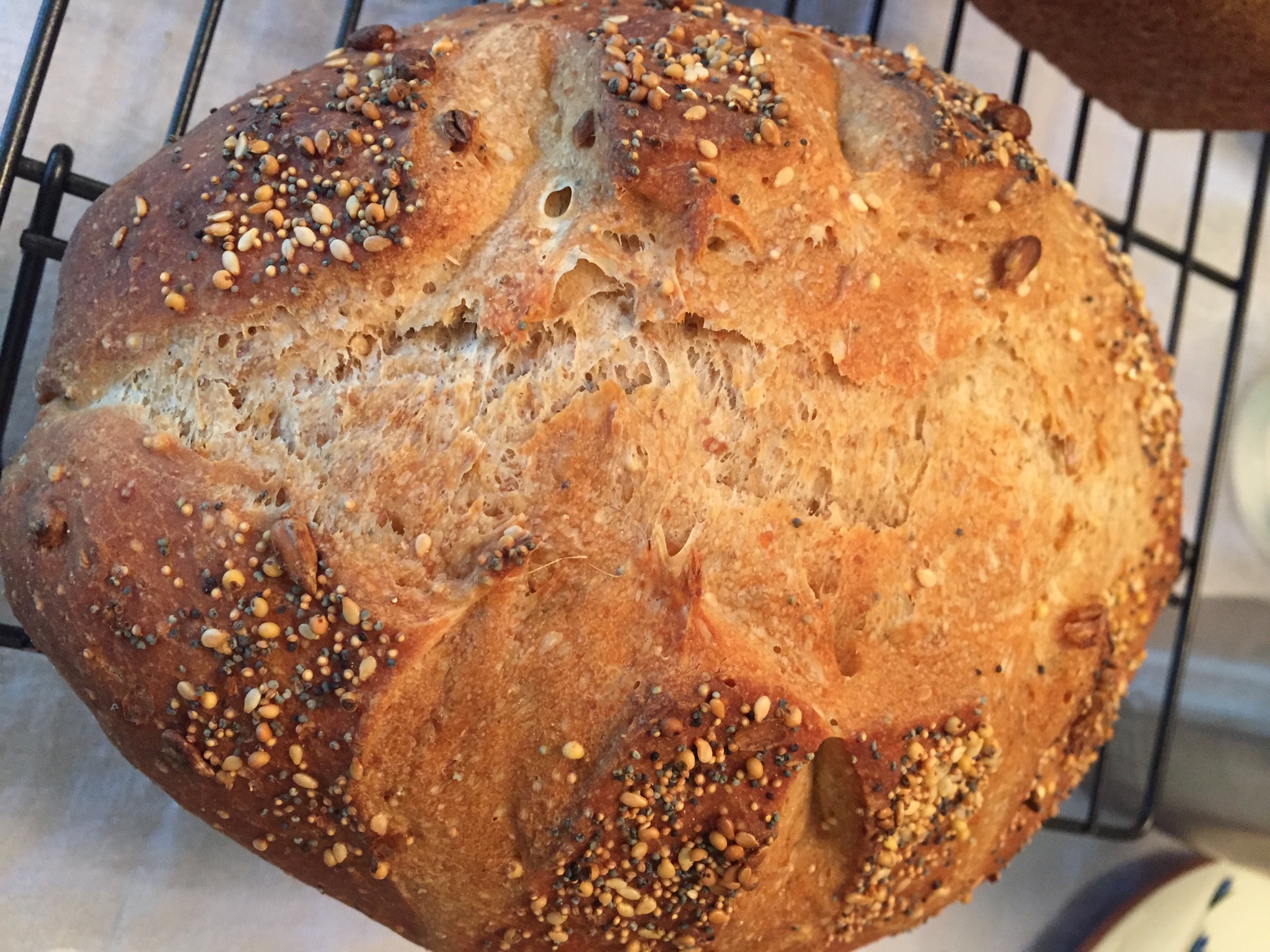 Baking Club Adventure: Whole Grain Bread — O-YUM-G