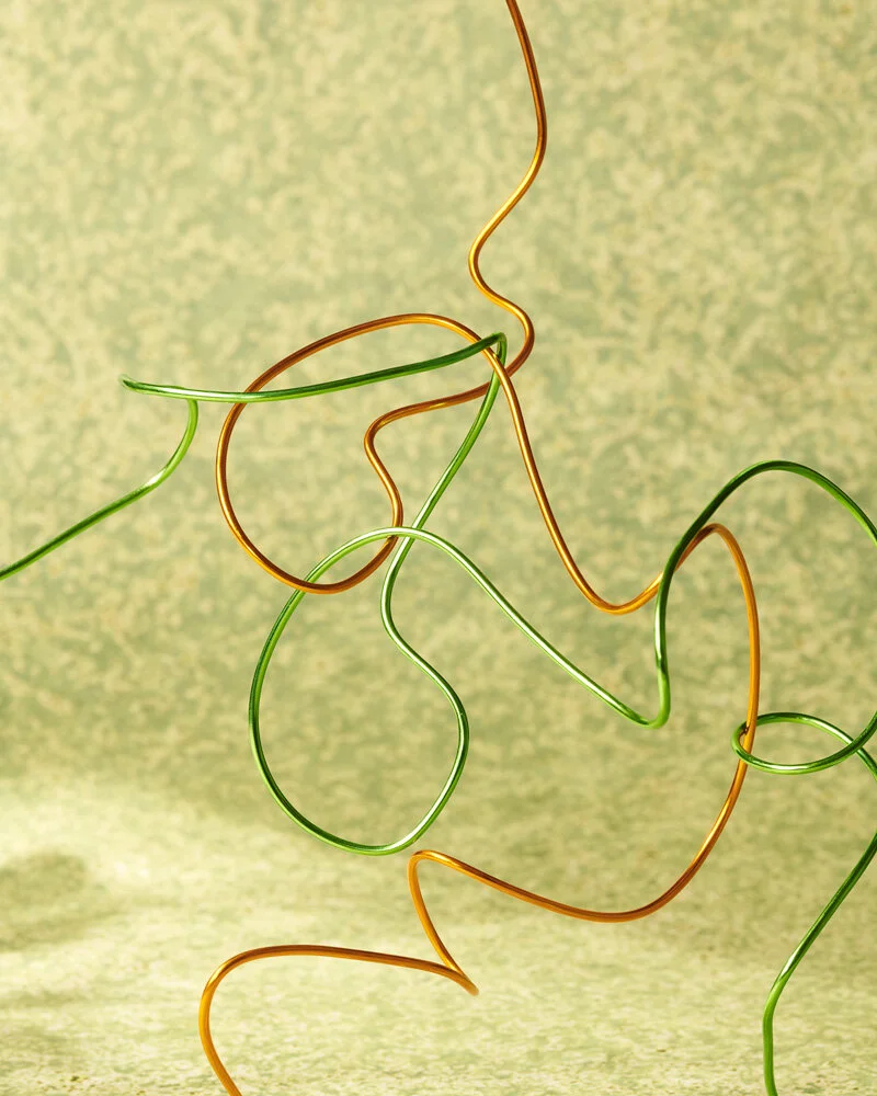 Wire Sculpture Personal Project -Jenna Gang Photography - Still Life ...