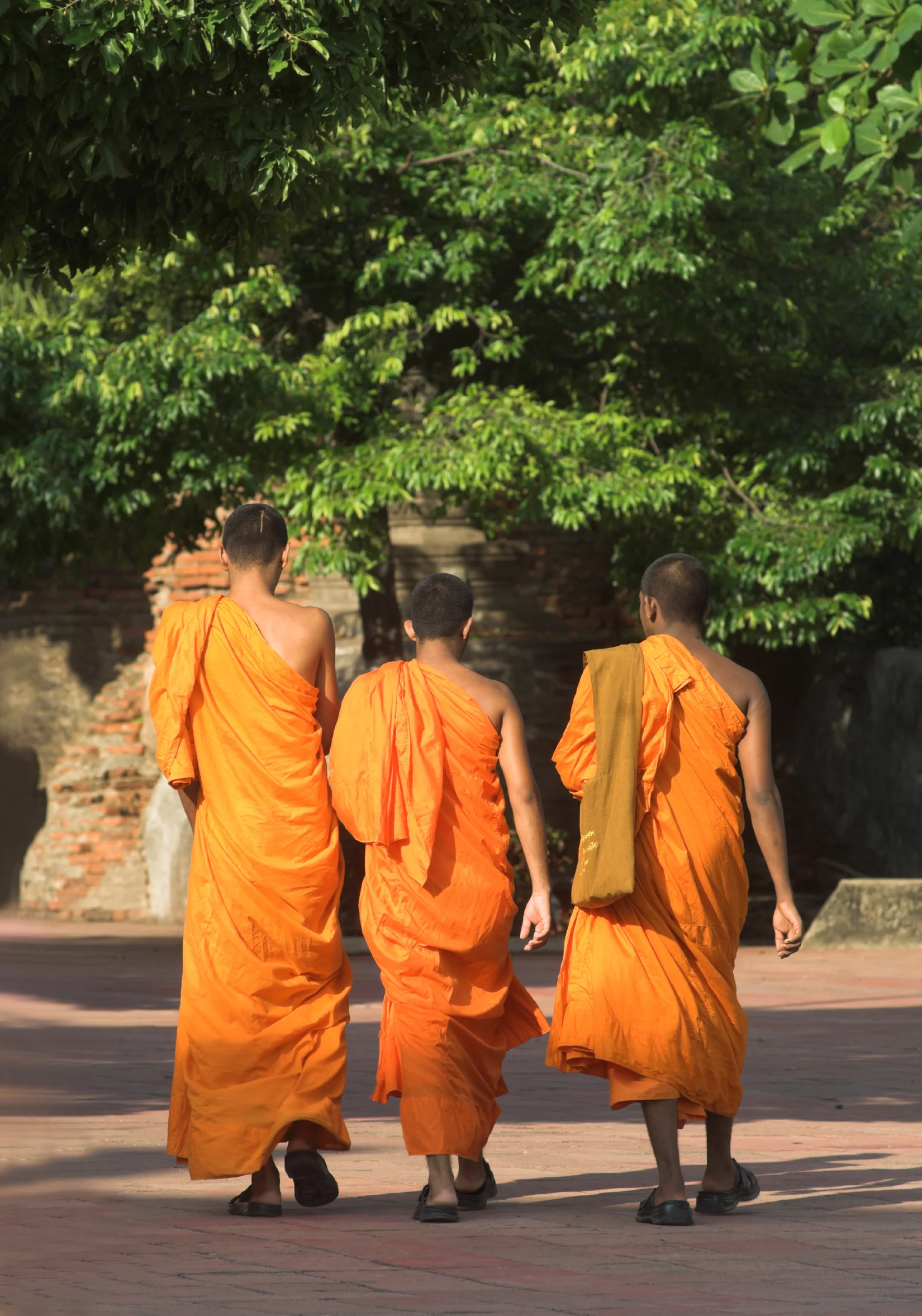 Buddhism — WorldviewU