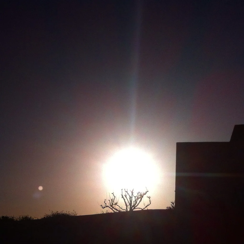 News — Alyssa Moxley