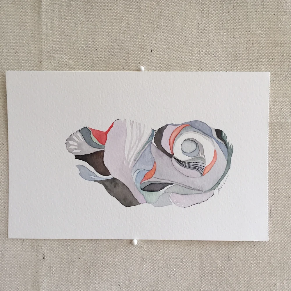 Abstract Shell Paintings