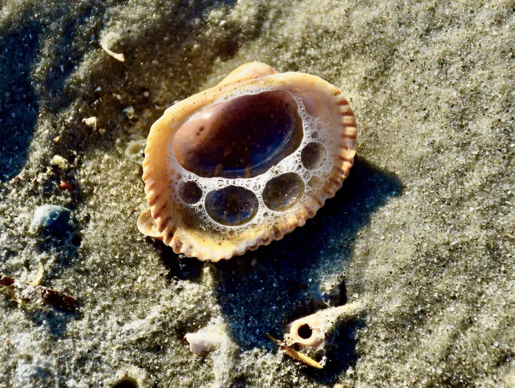 Blog — Islands of America