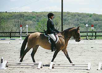 Lessons and Clinics — The Riding Centre