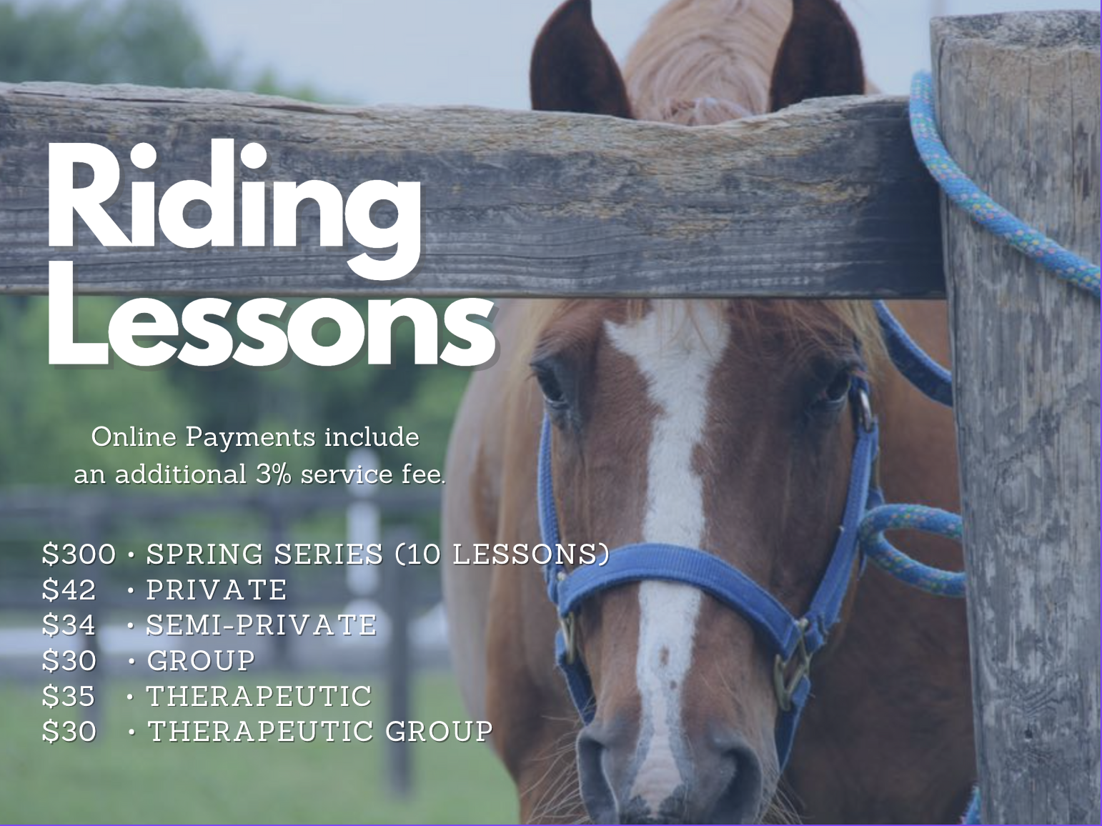 Lessons and Clinics — The Riding Centre