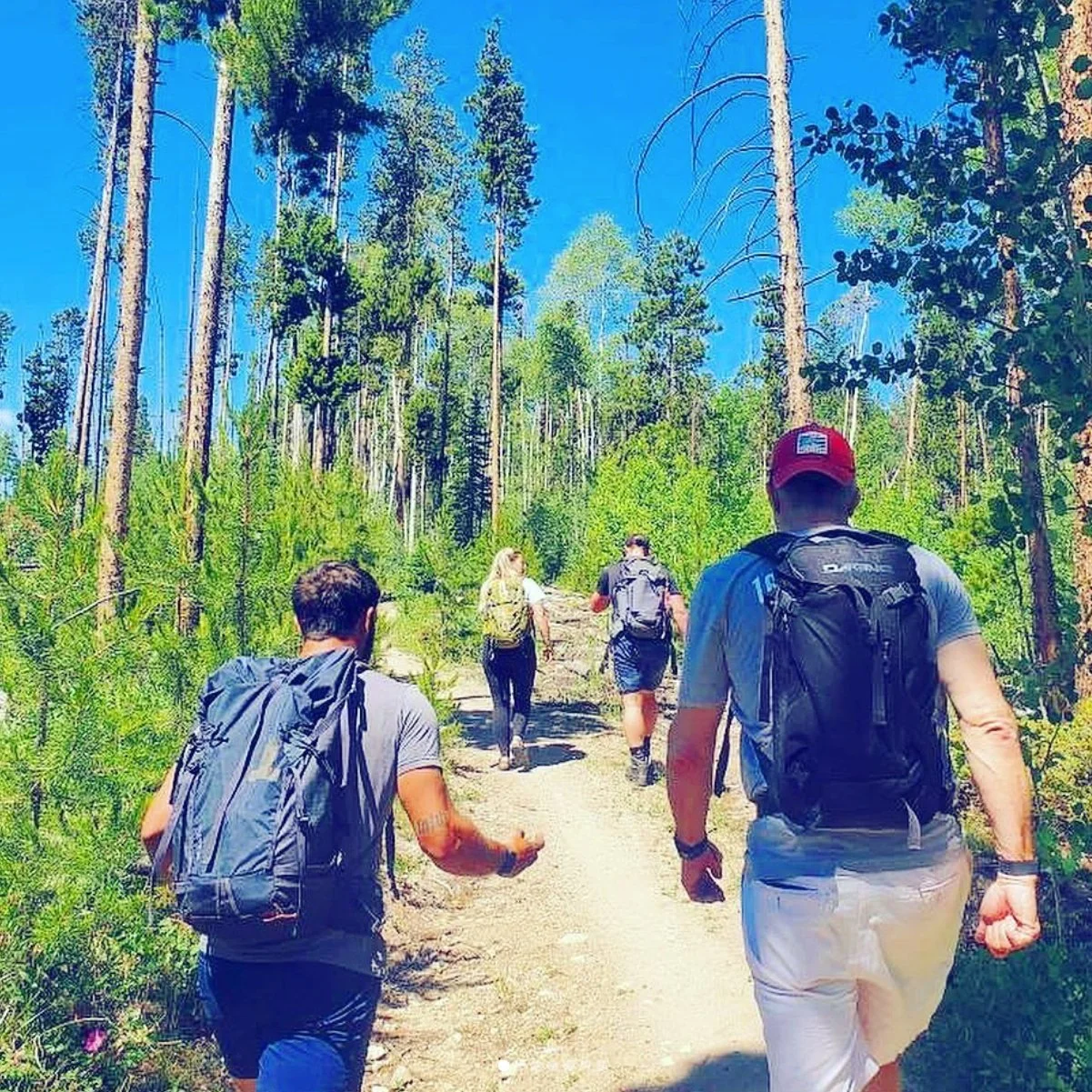 Testimonials + Reviews — ADVENTURE RECOVERY