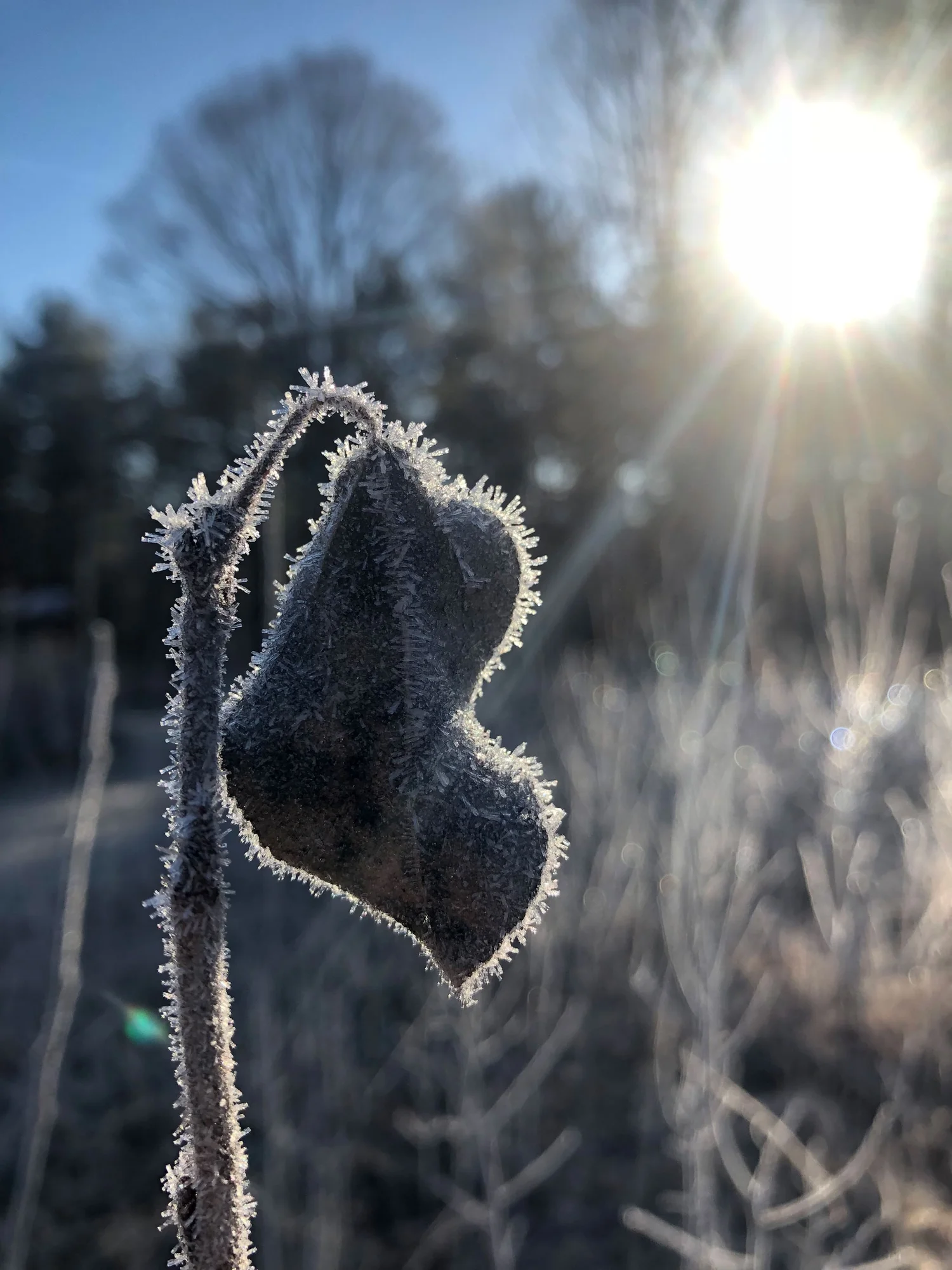 The Power of Awe — ADVENTURE RECOVERY