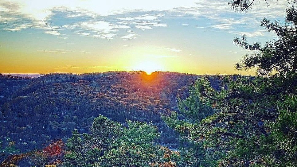Tree Rx: The Science of the Forest Pharmacy — ADVENTURE RECOVERY
