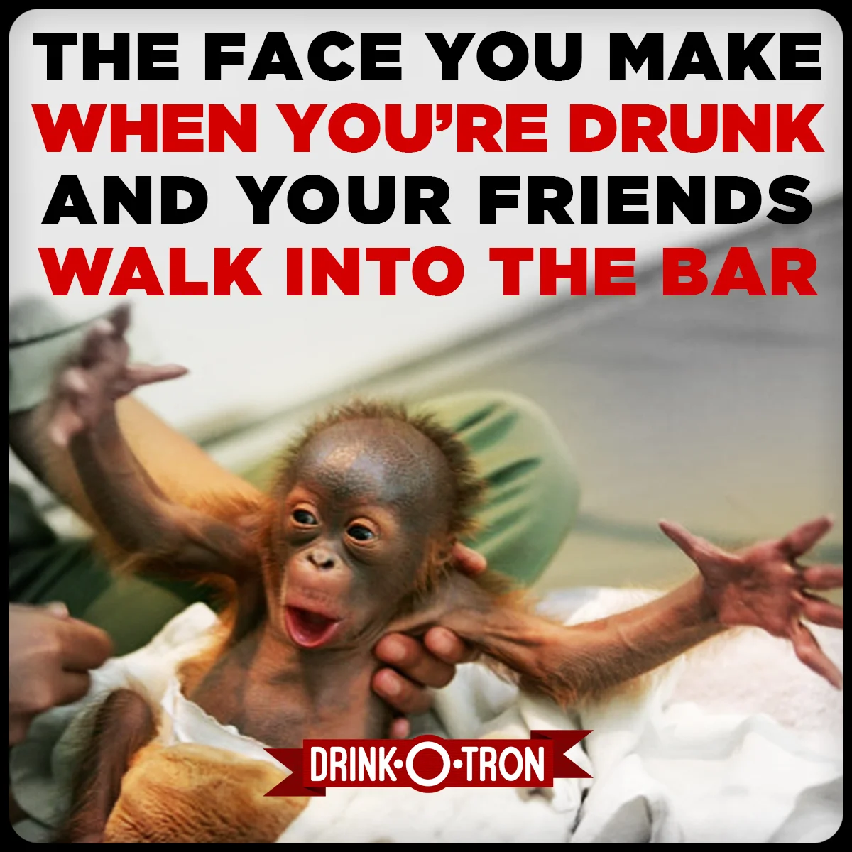 Drinking With Friends Memes