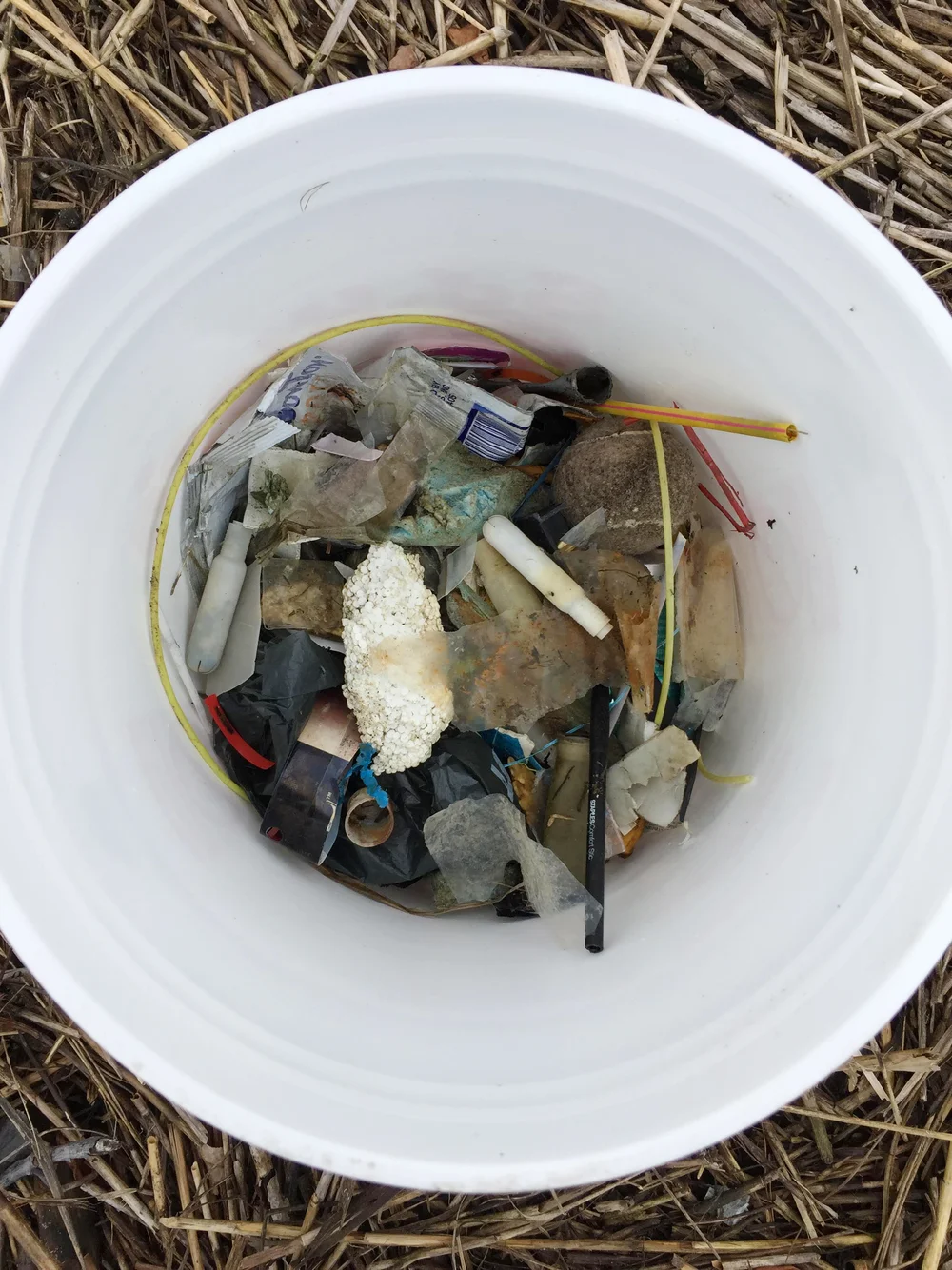 Sandy Hook Beach Clean Up — Amy Chen