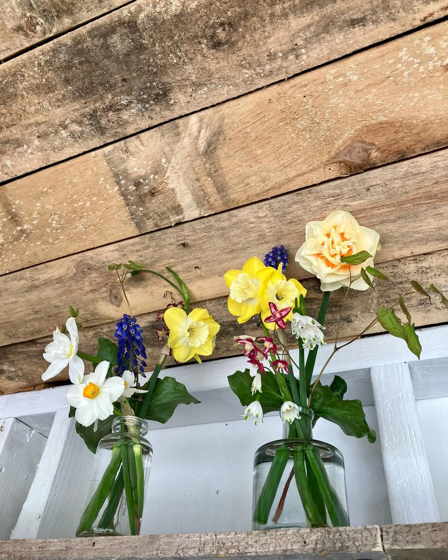 Best of 2015 / Happy 2016! — Amy Chen