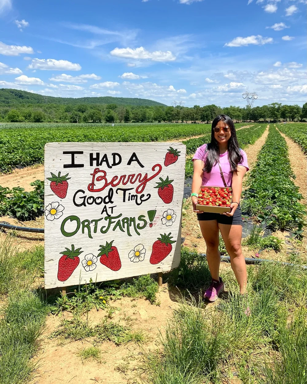 5 Things I've Learned In My First Year of Blogging — Amy Chen