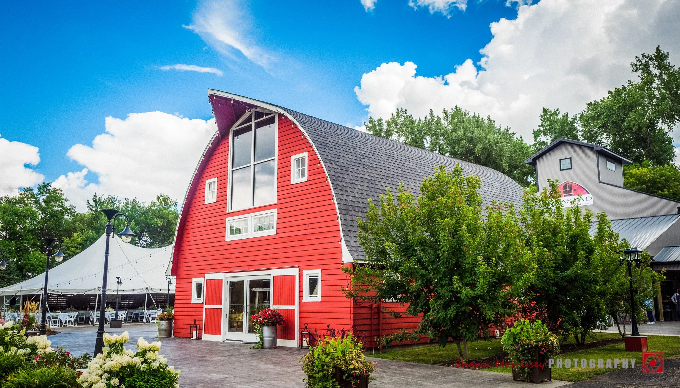 Naastad Acres Wedding Photographer - Beautiful Outdoor August Wedding ...