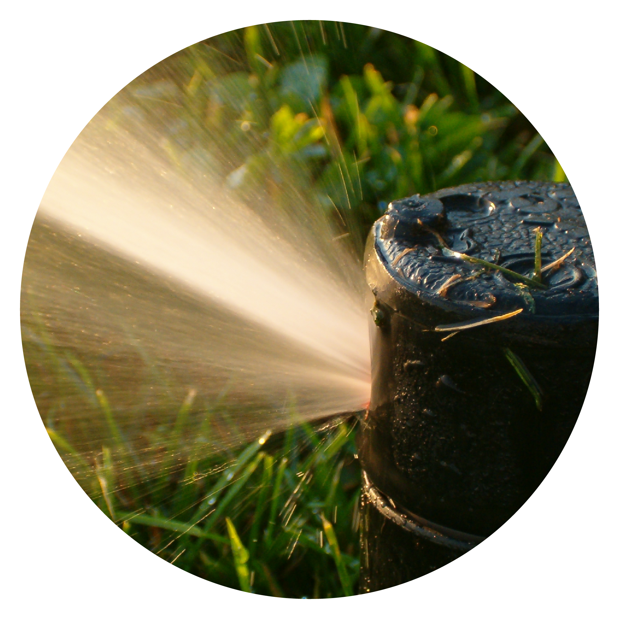 Waterwise Landscaping — High Plains Water District