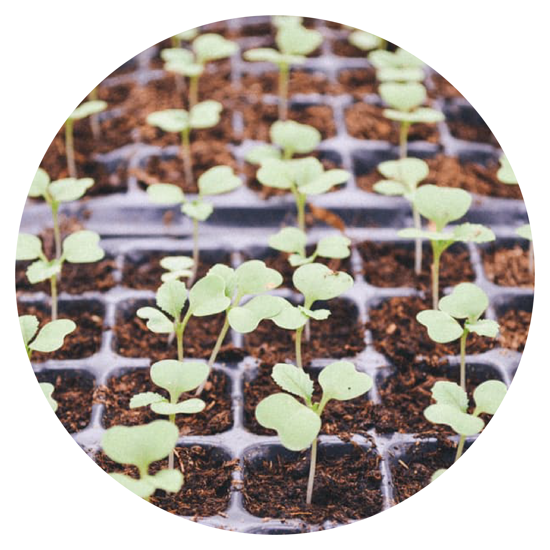 Waterwise Landscaping — High Plains Water District No. 1
