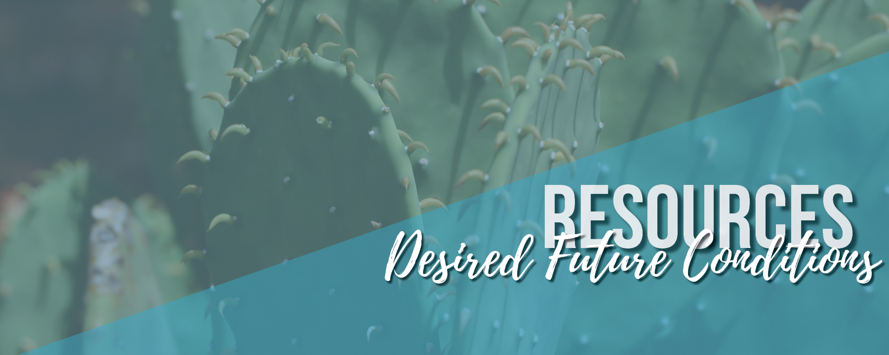 DFCs — High Plains Water District No. 1