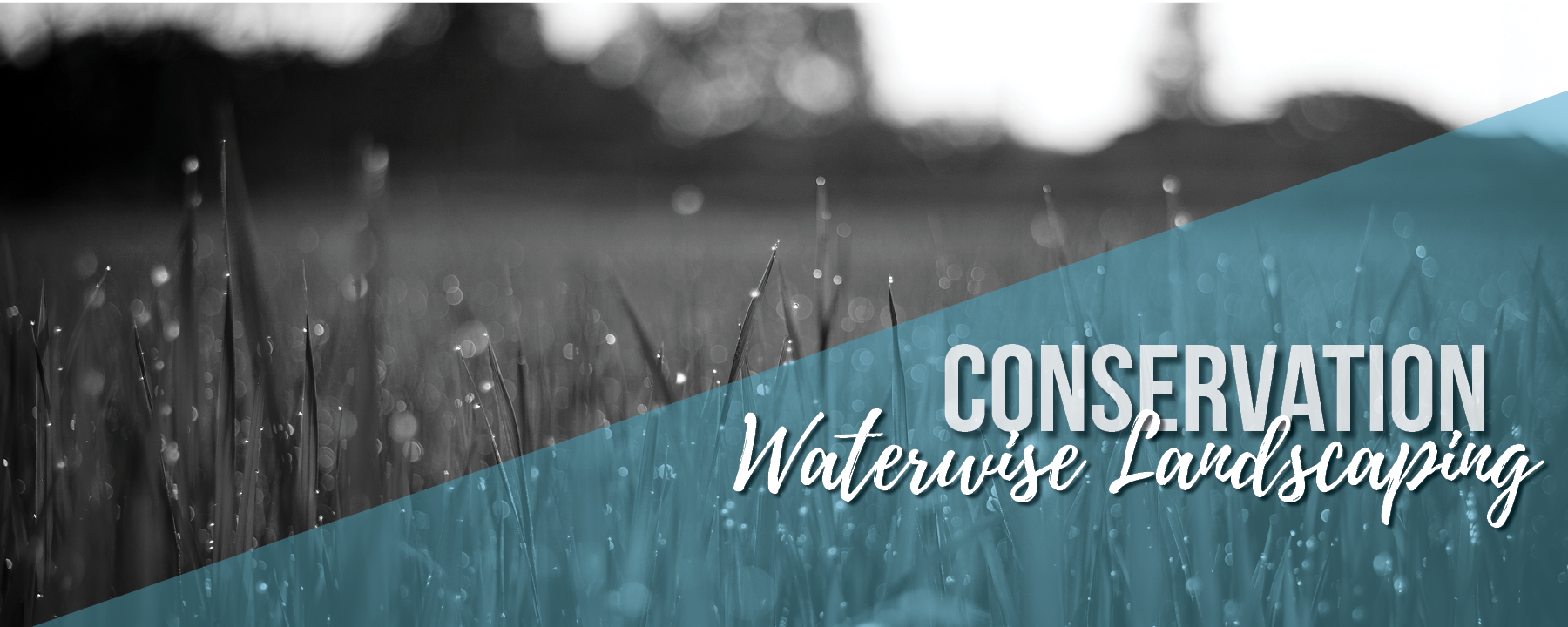 Waterwise Landscaping — High Plains Water District No. 1