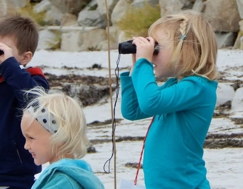 Goose Rocks Beach — Kennebunkport Conservation Trust