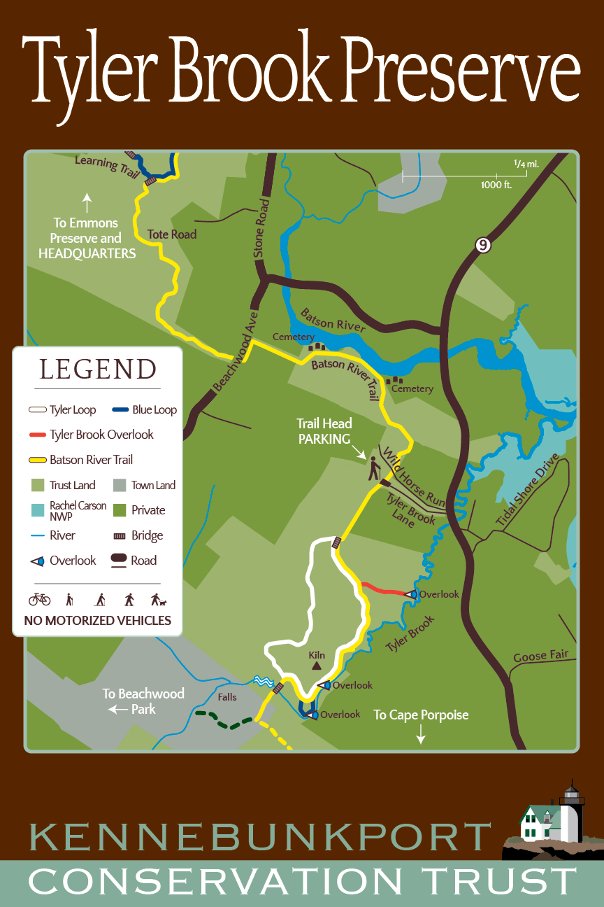 Tyler Brook — Kennebunkport Conservation Trust