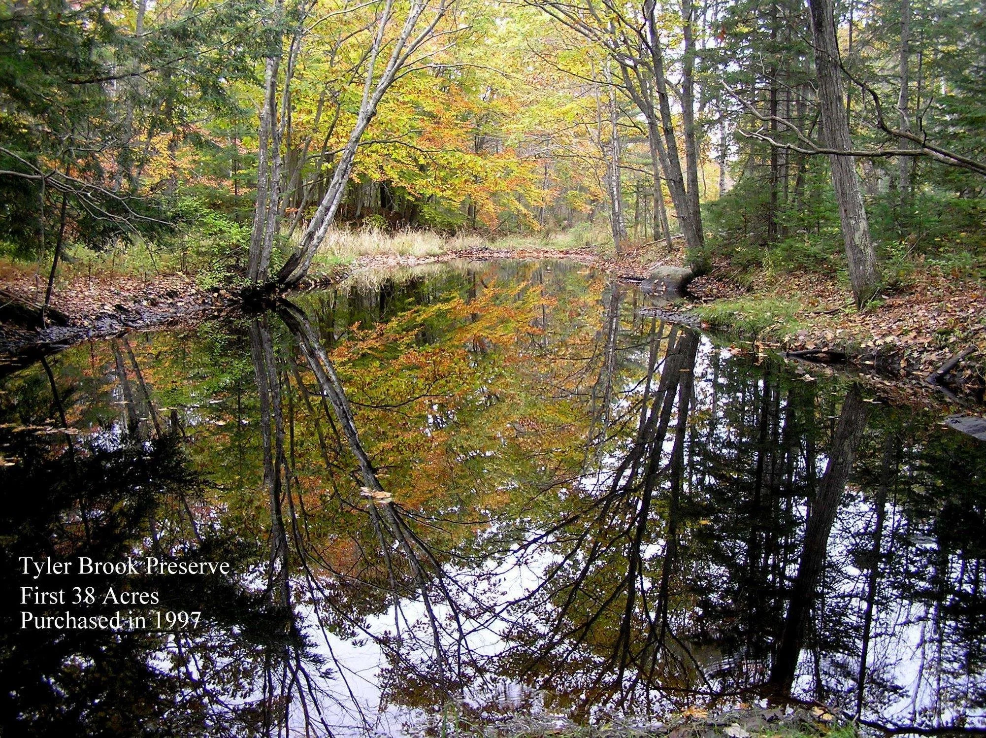Tyler Brook — Kennebunkport Conservation Trust