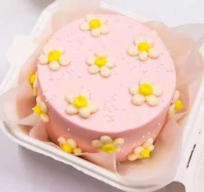 Mini Bento Cakes- Multiple designs available — Frost Me Sweet