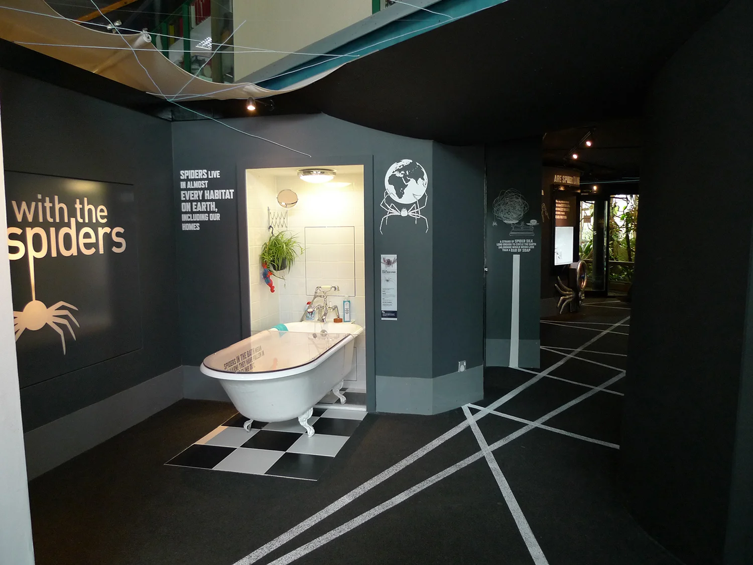 In With the Spiders @ London Zoo — London Display Graphics