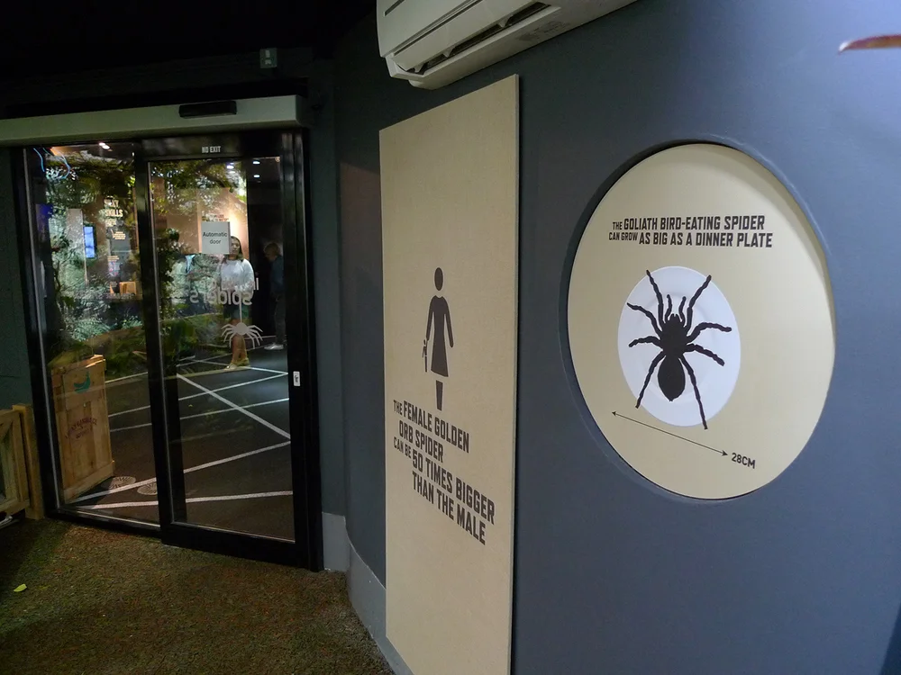 In With the Spiders @ London Zoo — London Display Graphics