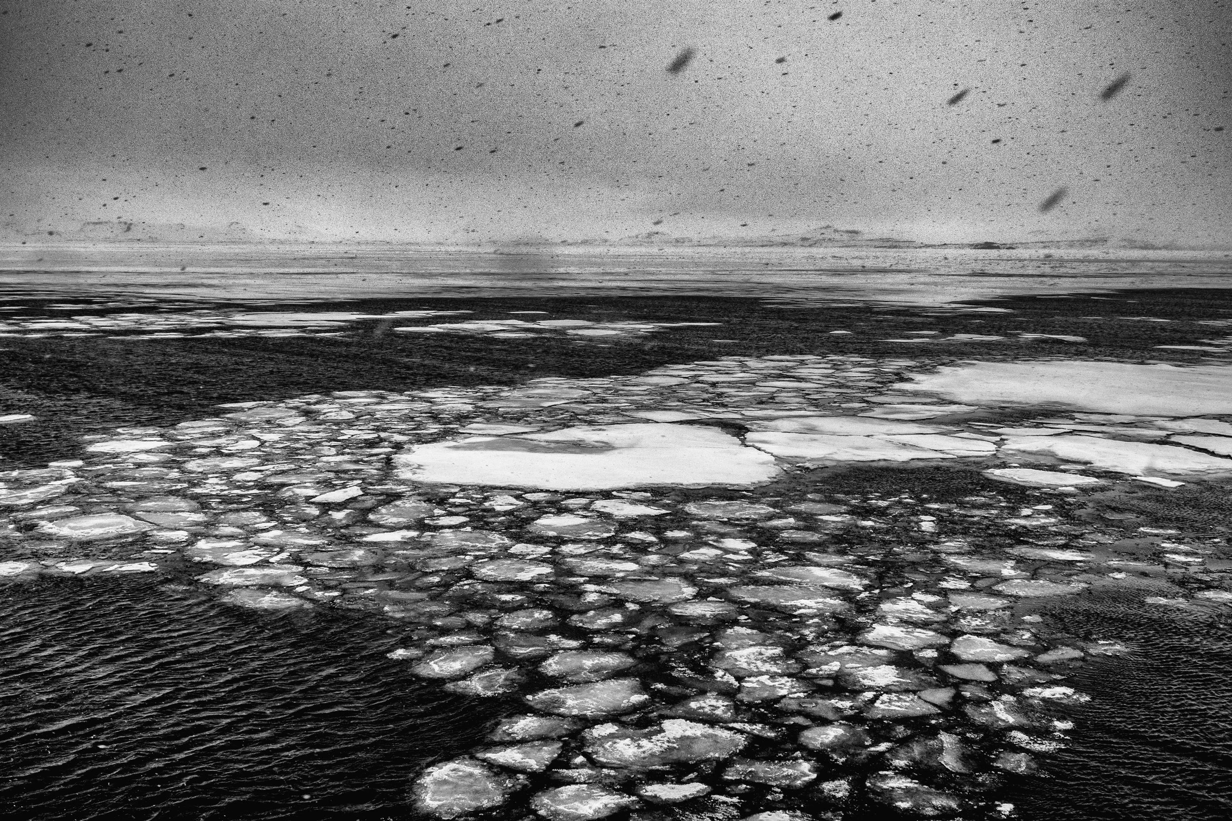 12.09.2023 "über natürliches" — Galerie LIK