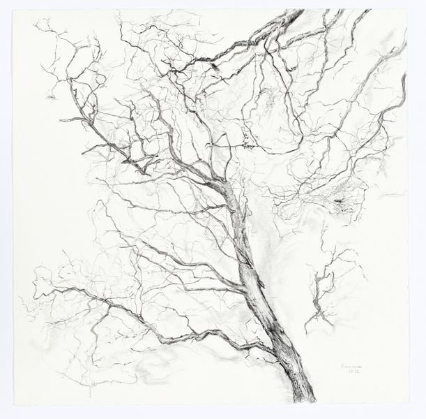 12.09.2023 "über natürliches" — Galerie LIK