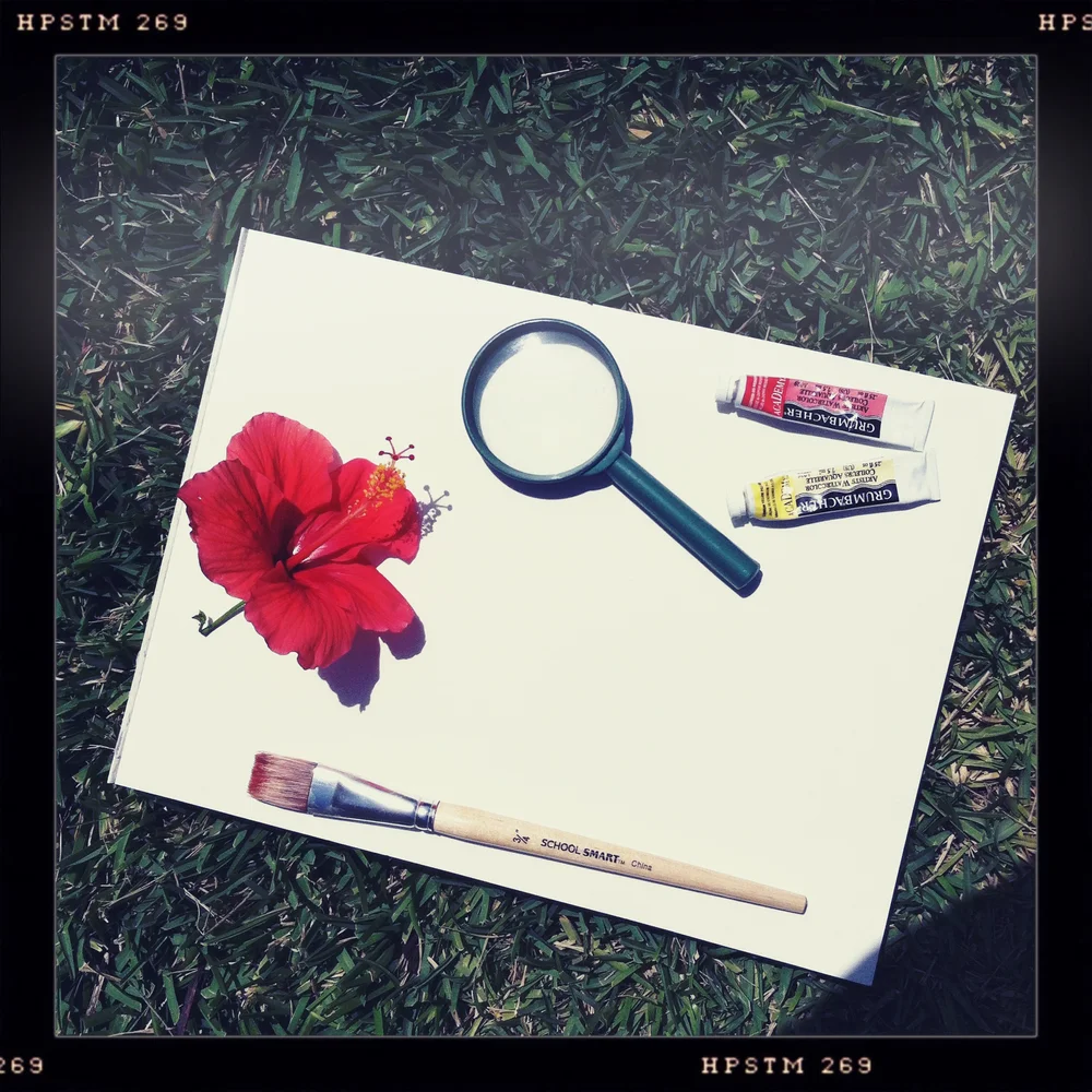 Paint Flowers Like Georgia O'Keeffe — Art History Kids