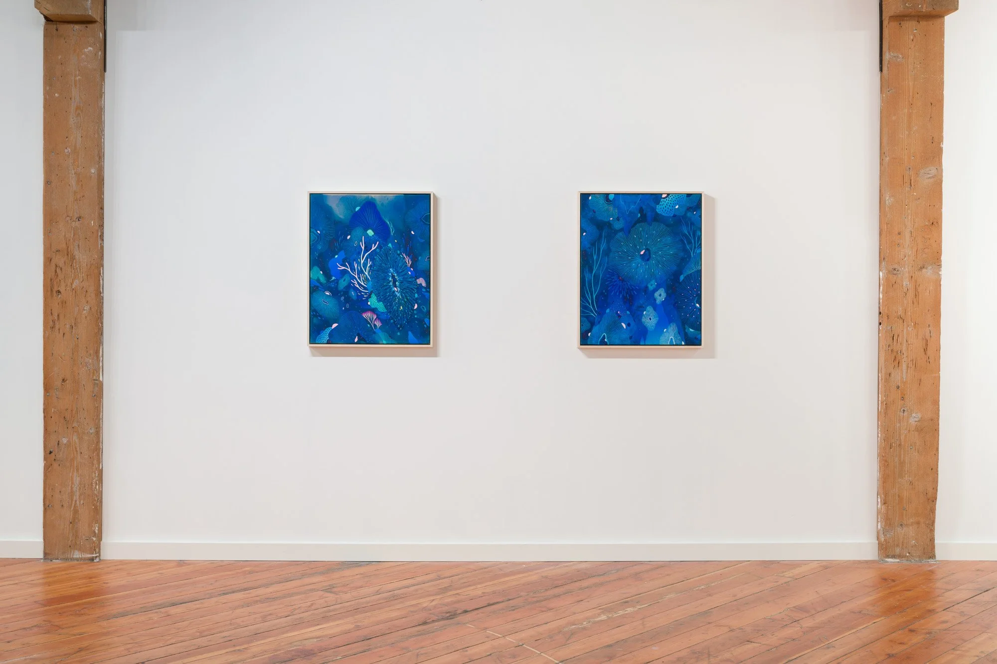 YELLENA JAMES | WEIGHTLESS - CHEFAS PROJECTS