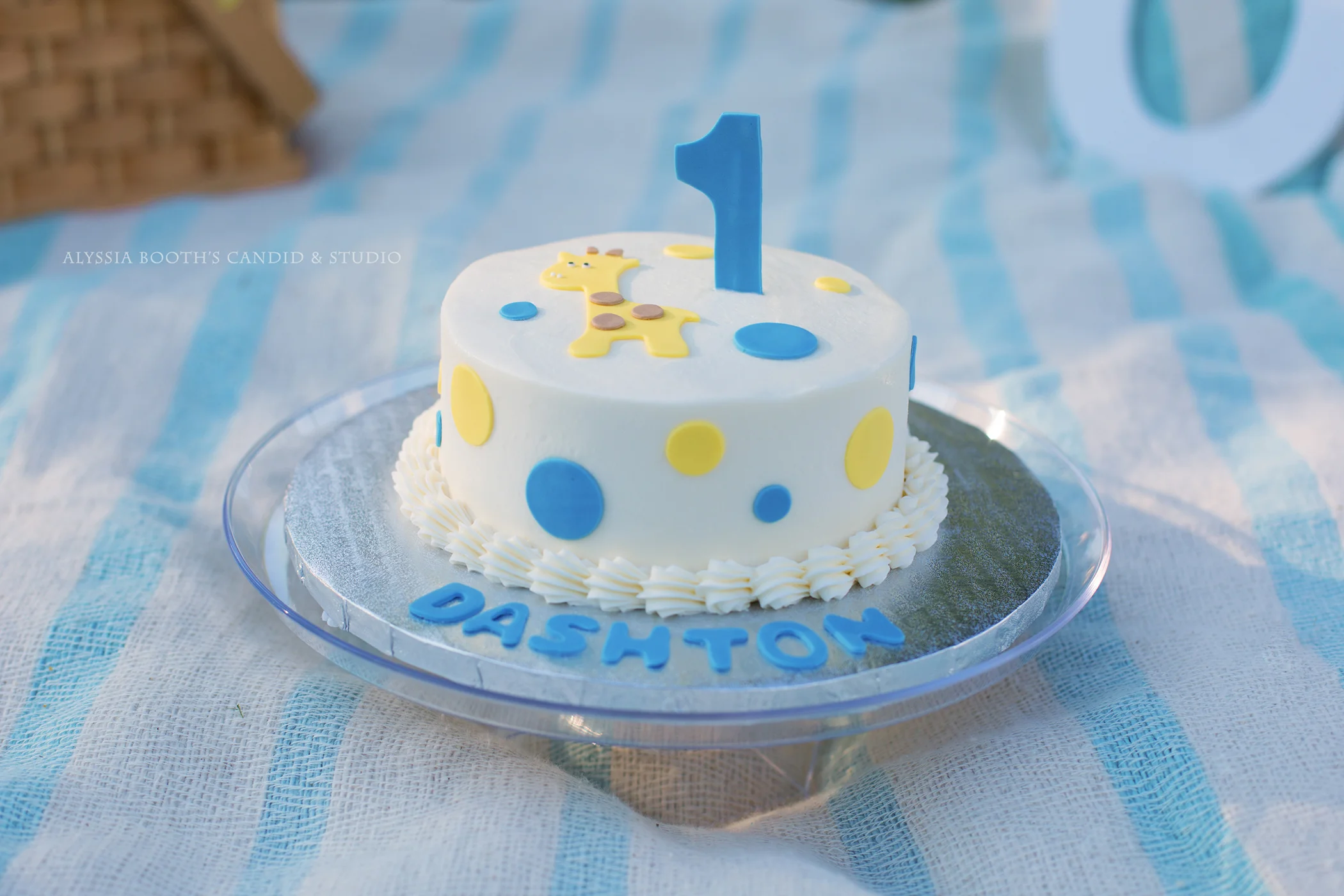 Great Cake Shops For Your Baby's First Birthday & Cake Smash | Lansing ...